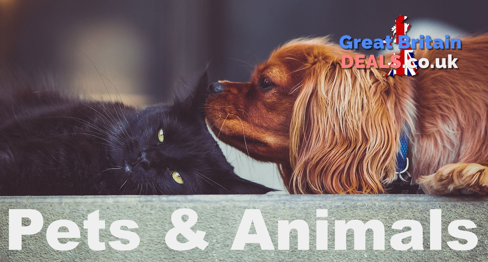 Pets & Animals | Pet Products | Great Britain Deals